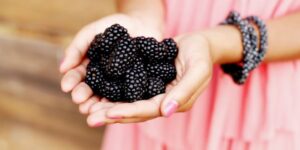 Mure: de ce sunt considerate fructe-minune. Beneficii confirmate