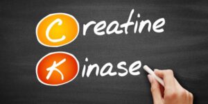 Creatinkinaza - Ce este? Functie si niveluri normale