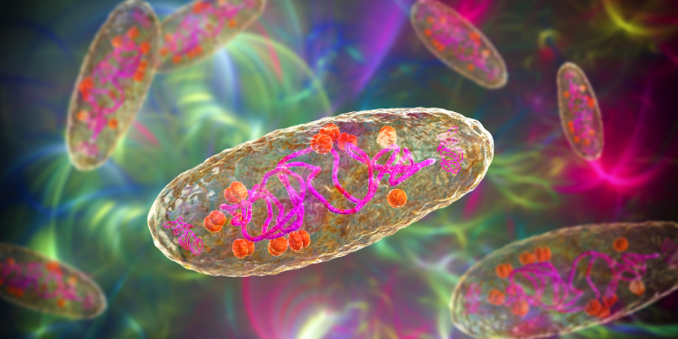 Ce rol are coprocultura si cand se recomanda examenul coproparazitologic?