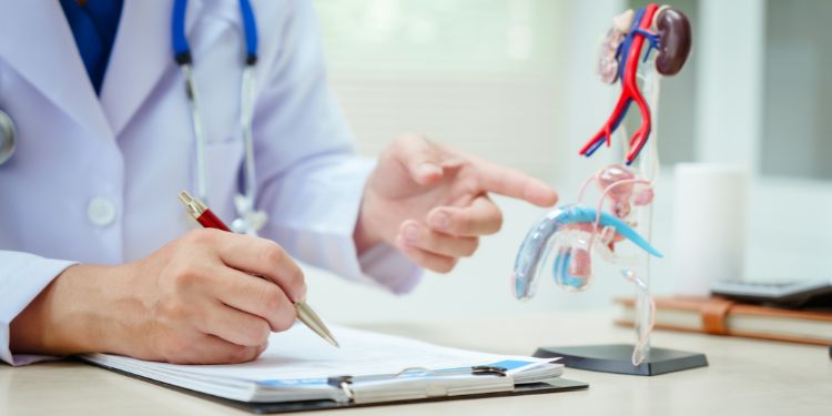 Cancerul de prostata. Informatii importante pentru barbati